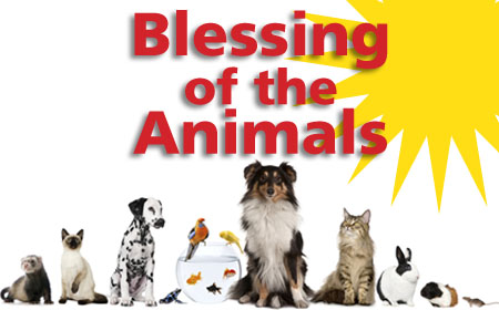 blessing of animals